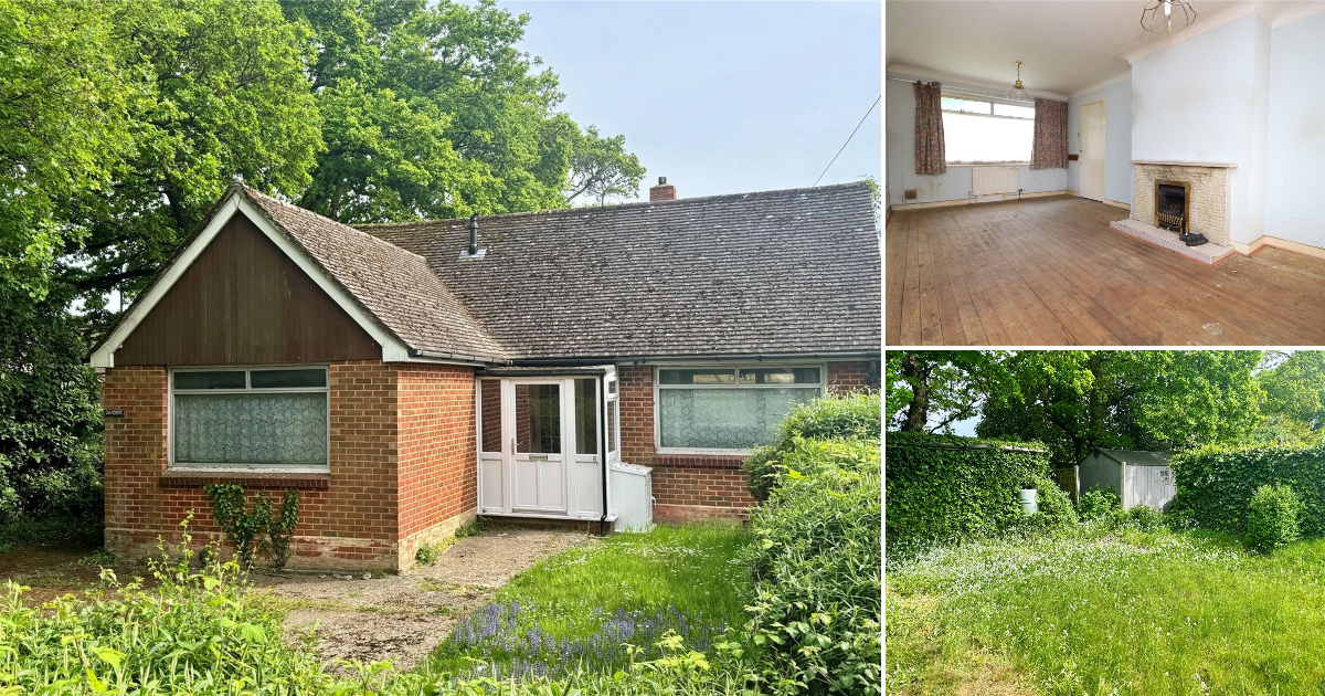 2 bed bungalow for sale in Ashley Road, New Milton, Hampshire, BH25 6BD ...